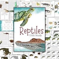 Reptiles Unit: Biodiversity Homeschool Lessons (PDF Download) - Etsy