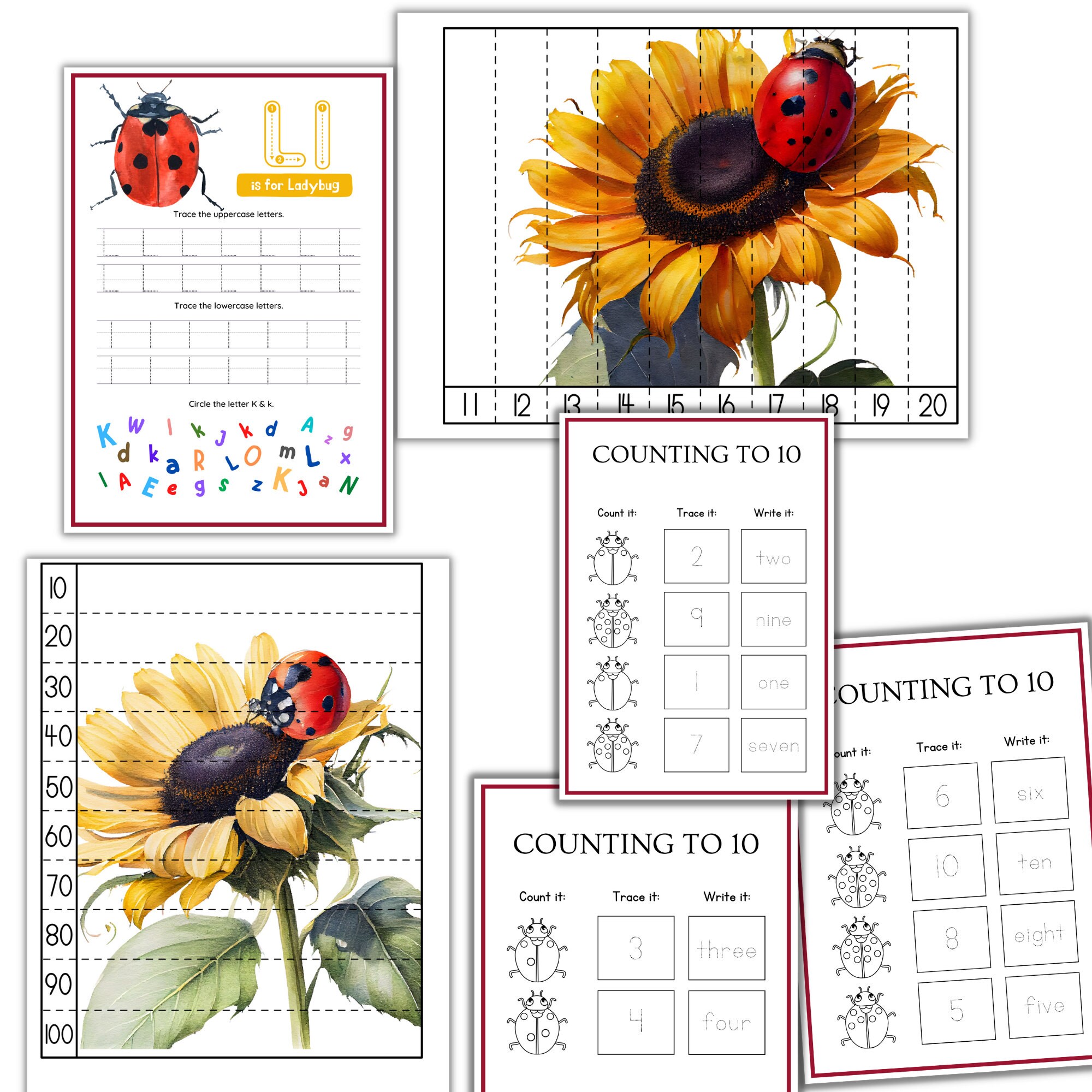 Ladybug Unit Study, Ladbug Printable Puzzle, Ladybug 3 Part Cards ...