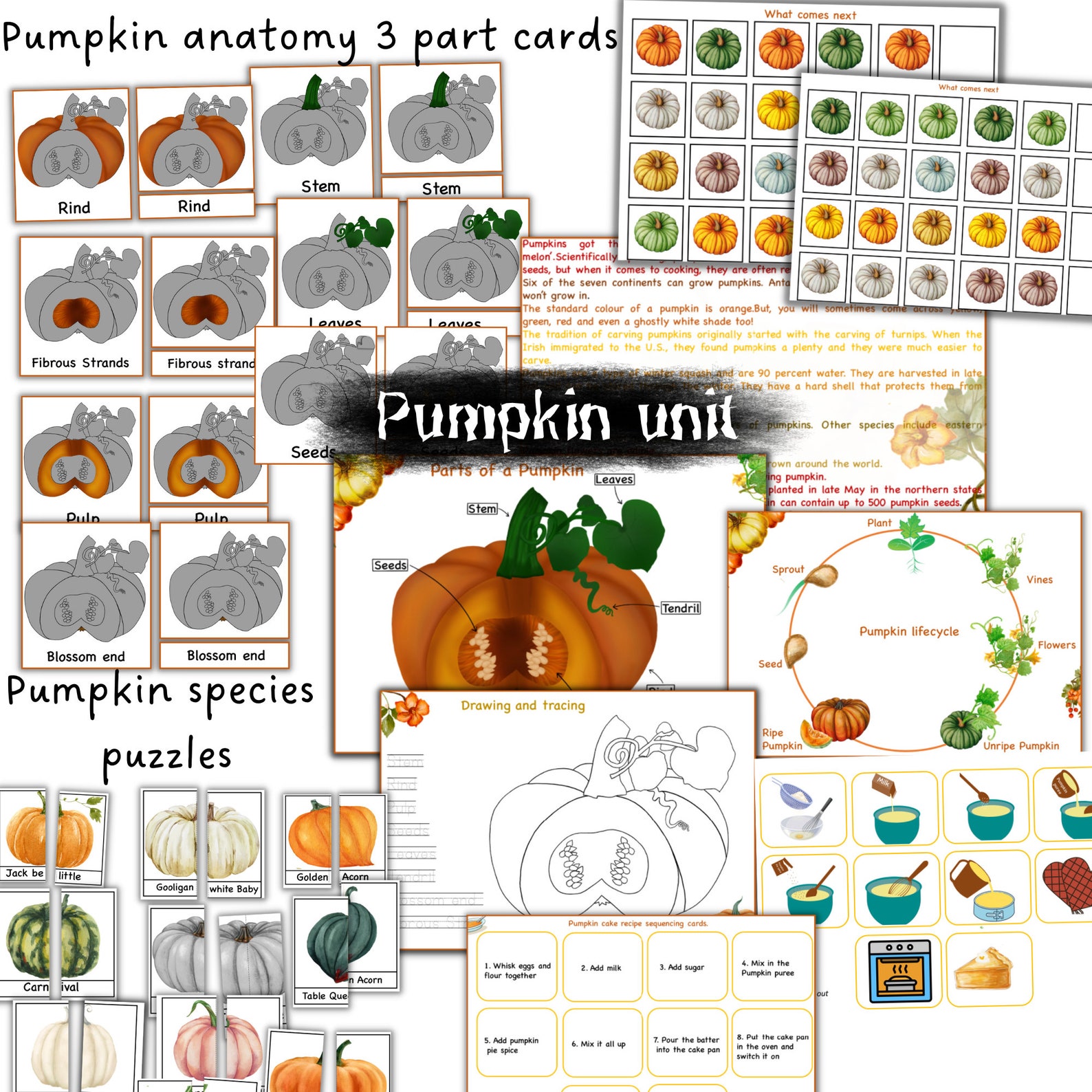 HALLOWEEN UNIT STUDY, Spider Unit Study, Raven Unit Study, Pumpkin Unit ...