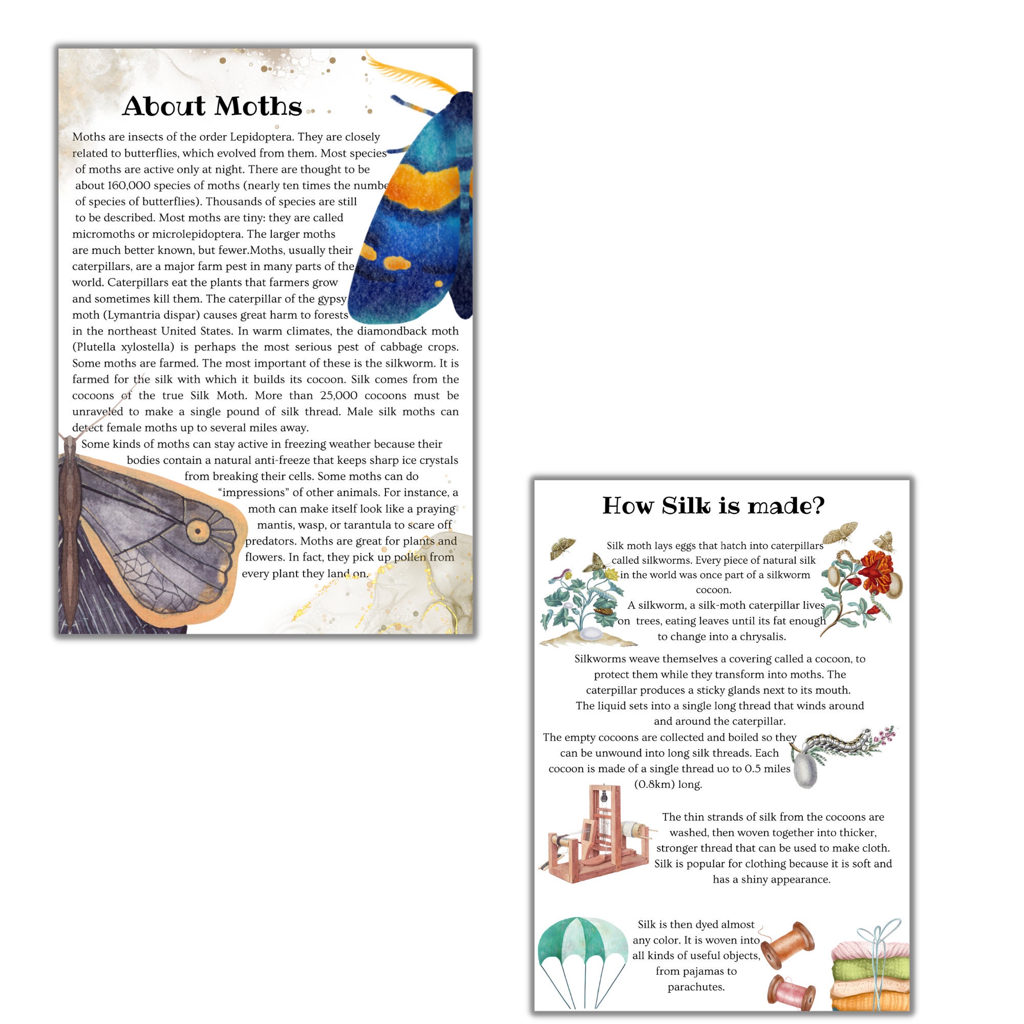 Moth Unit Study Luna Moth Printable Puzzle Luna Moth 3 Part - Etsy