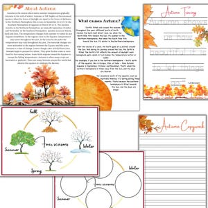 Fall Unit Study, Mushroom Unit Study, Corn Unit Study, Fox Unit Study ...