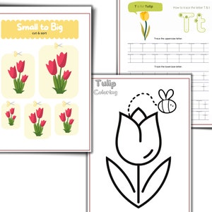 Tulip Unit, Parts of Tulip, Tulip Lífe , Nature Study, Flwoer Unit ...