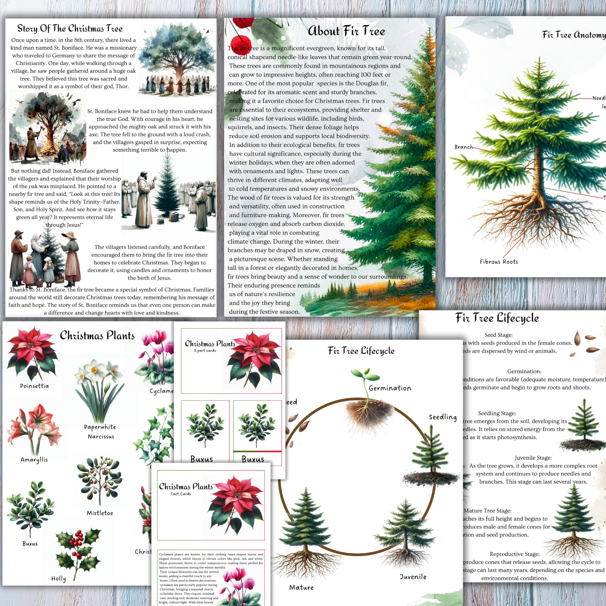 CHRISTMAS UNIT STUDY, History and Evolution of Christmas, Christmas ...