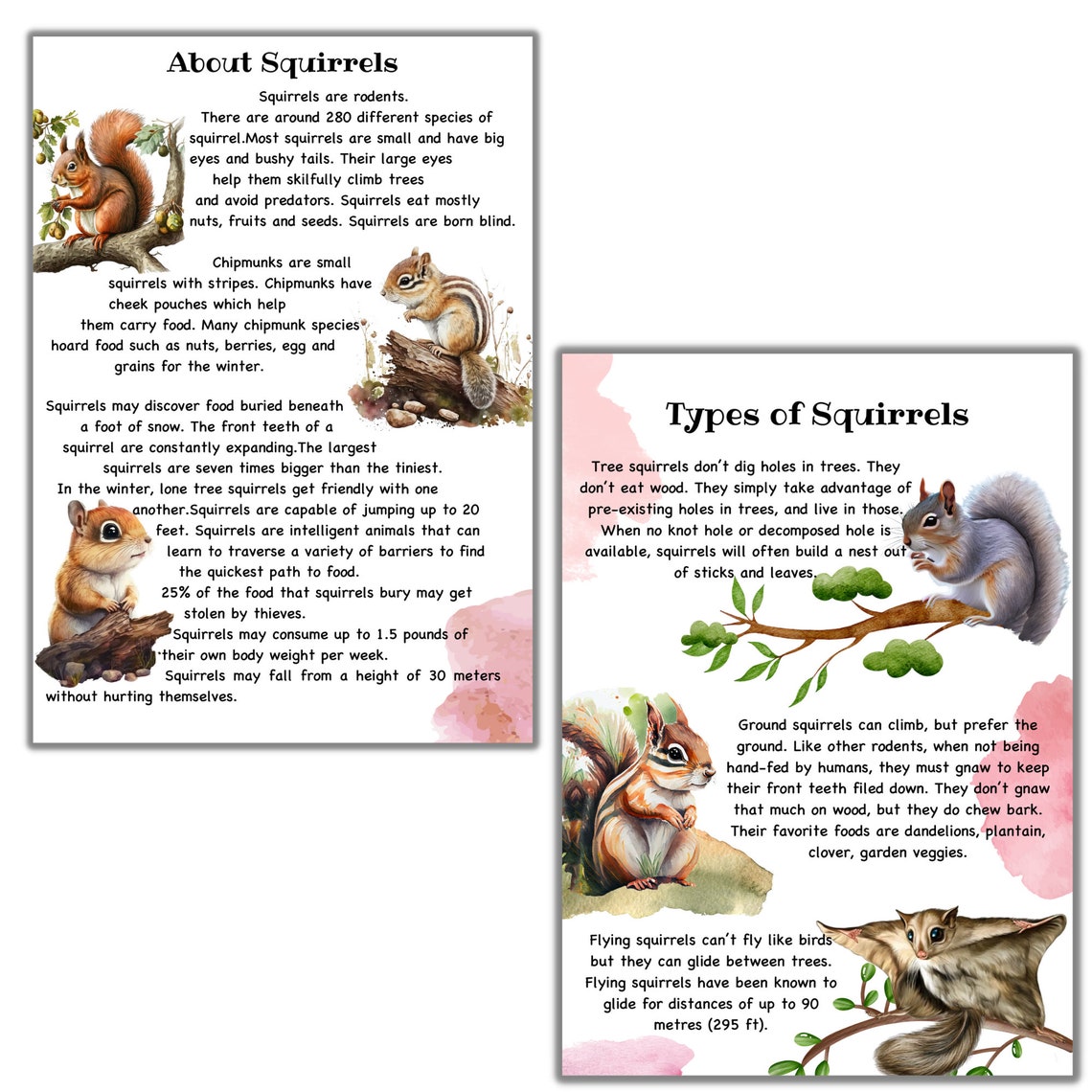 Squirrel Unit Study Squirrel Life Cycle Squirrel Anatomy - Etsy