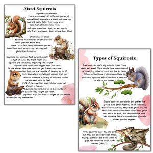 Squirrel Unit Study, Squirrel Life Cycle, Squirrel Anatomy, Fall Unit ...