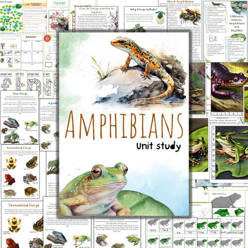 Amphibian Unit Study Frogs Unit Study Frogs 3 Part Cards - Etsy