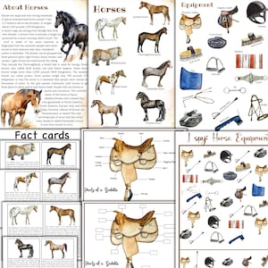 Horse Unit Study, Horse 3 Part Cards, Horse Activities, Horse Homeschool, Horse Anatomy, Horse ...
