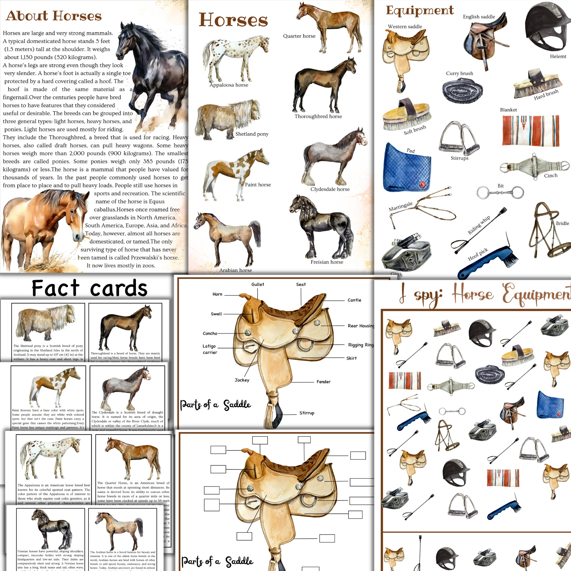 Horse Unit Study, Horse 3 Part Cards, Horse Activities, Horse ...