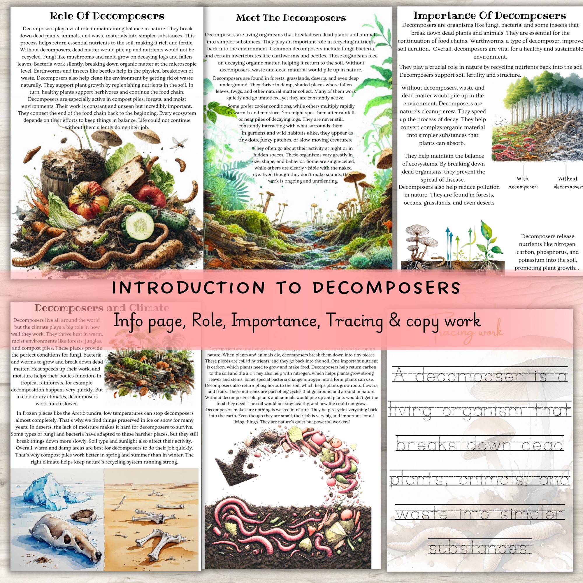 Decomposers Unit Study, Fungi Unit, Nature Study, Food Chain, Ecology ...