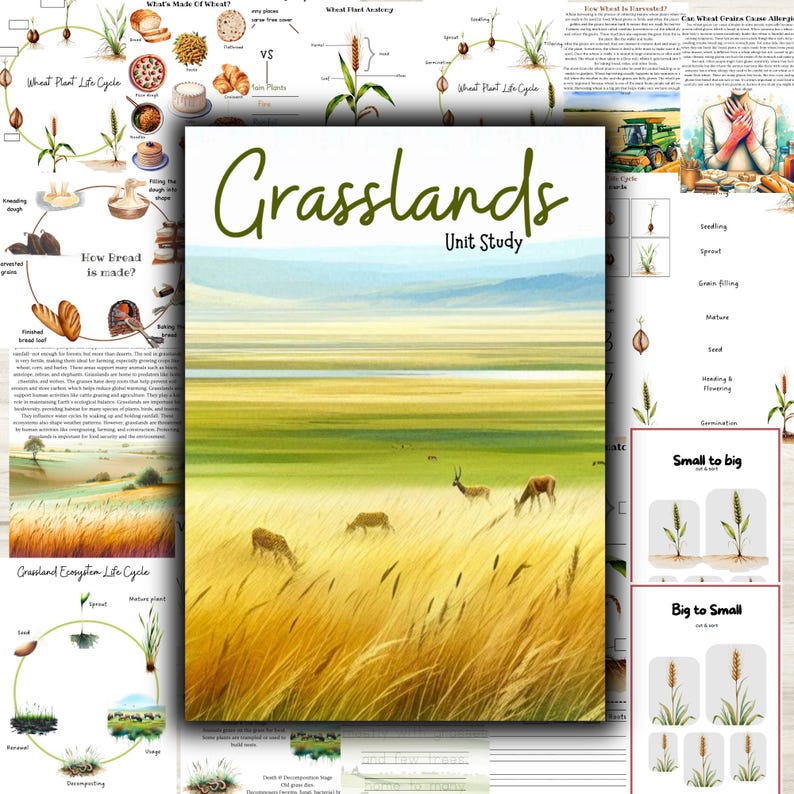 Biomes Unit Study, Land Biome, Geography Unit , Geography Homeschool ...