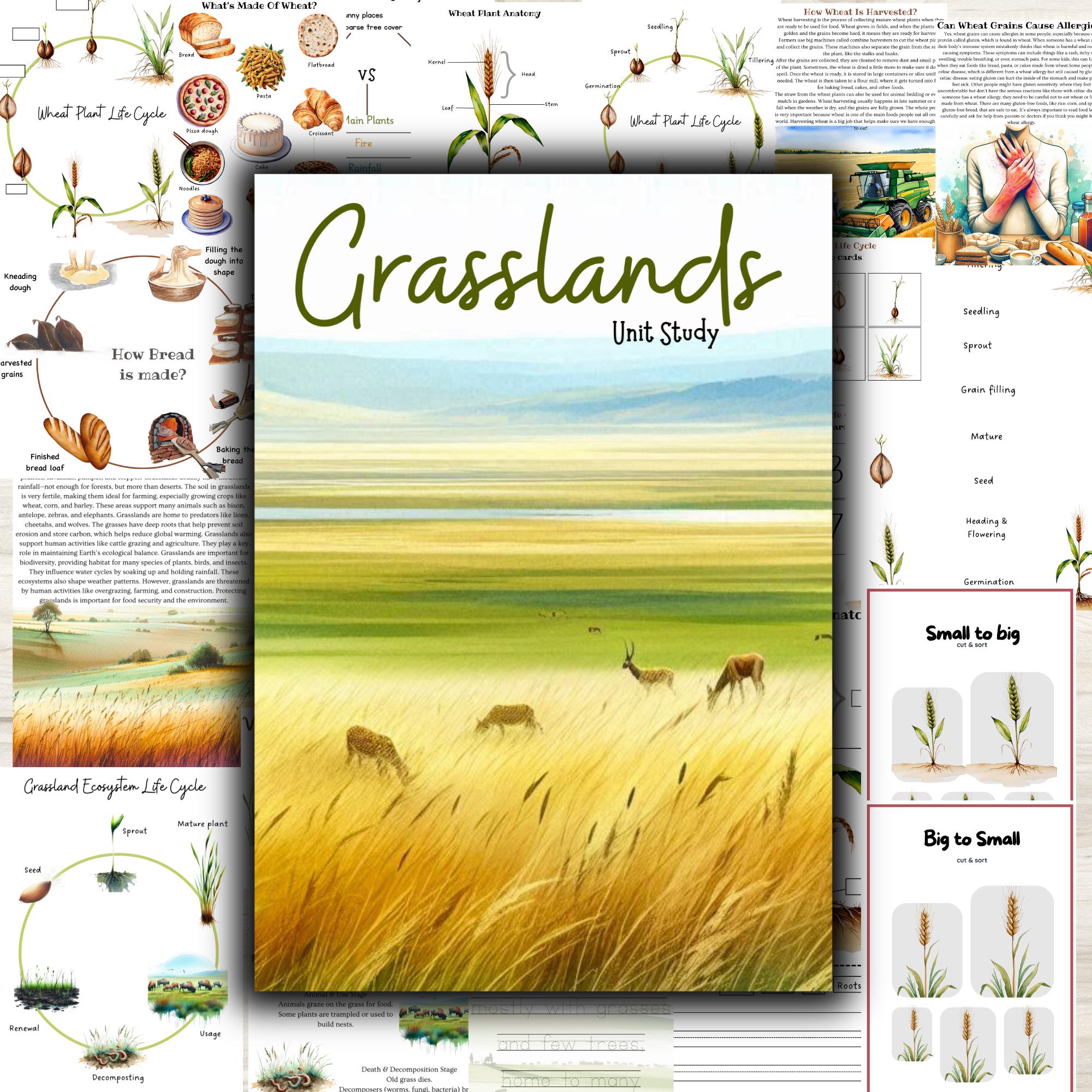 Biomes Unit Study, Land Biome, Geography Unit , Geography Homeschool ...