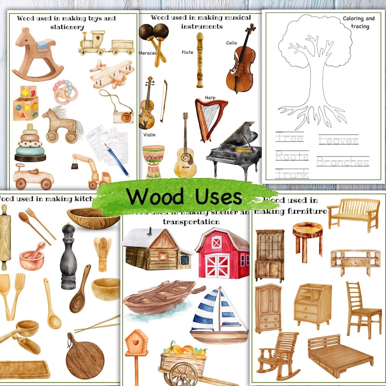 Trees Leaves Unit Study, Tree Forms, Parts of a Tree, Parts of Leaf ...