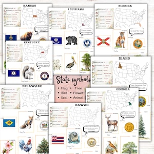 USA 50 States and State Capitals, Geography Lessons, 50 States of USA ...