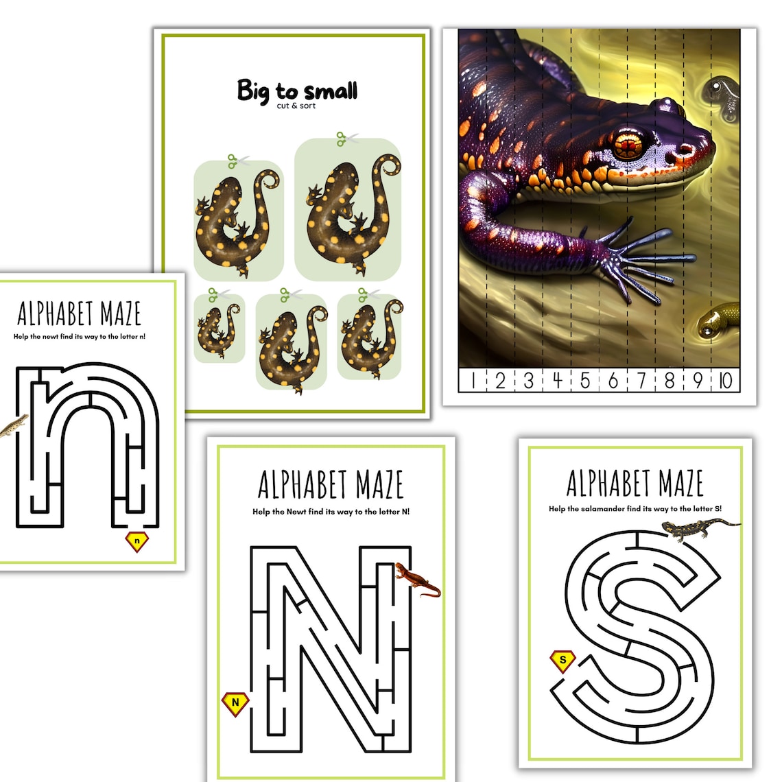 Salamander Mini Unit, Salamander Activities, Amphibians - Etsy