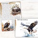 Bald Eagle Mini Unit, Bald Eagle Lifecycle, Bald Eagle Printable ...