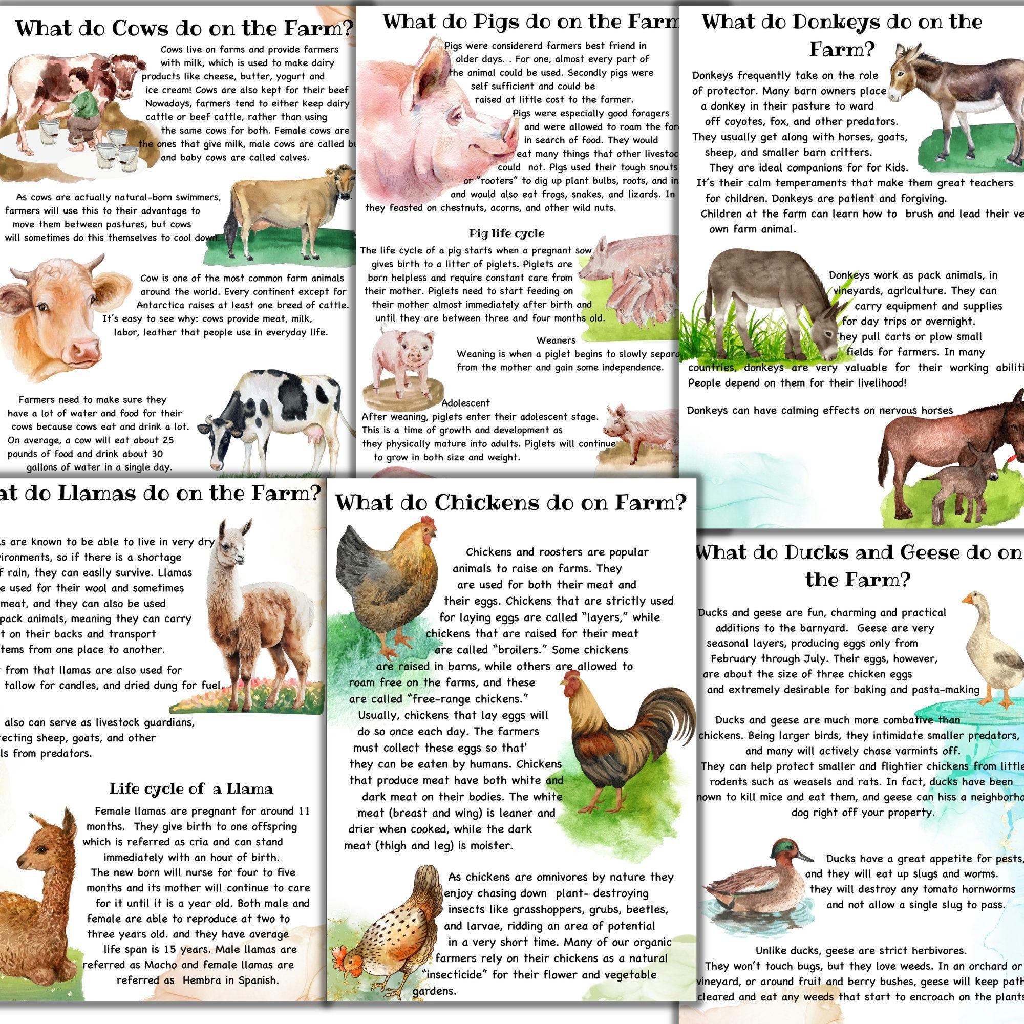 Farm Unit Study, Chicken Unit Study, Farm Animals Activities, Pea Plant ...