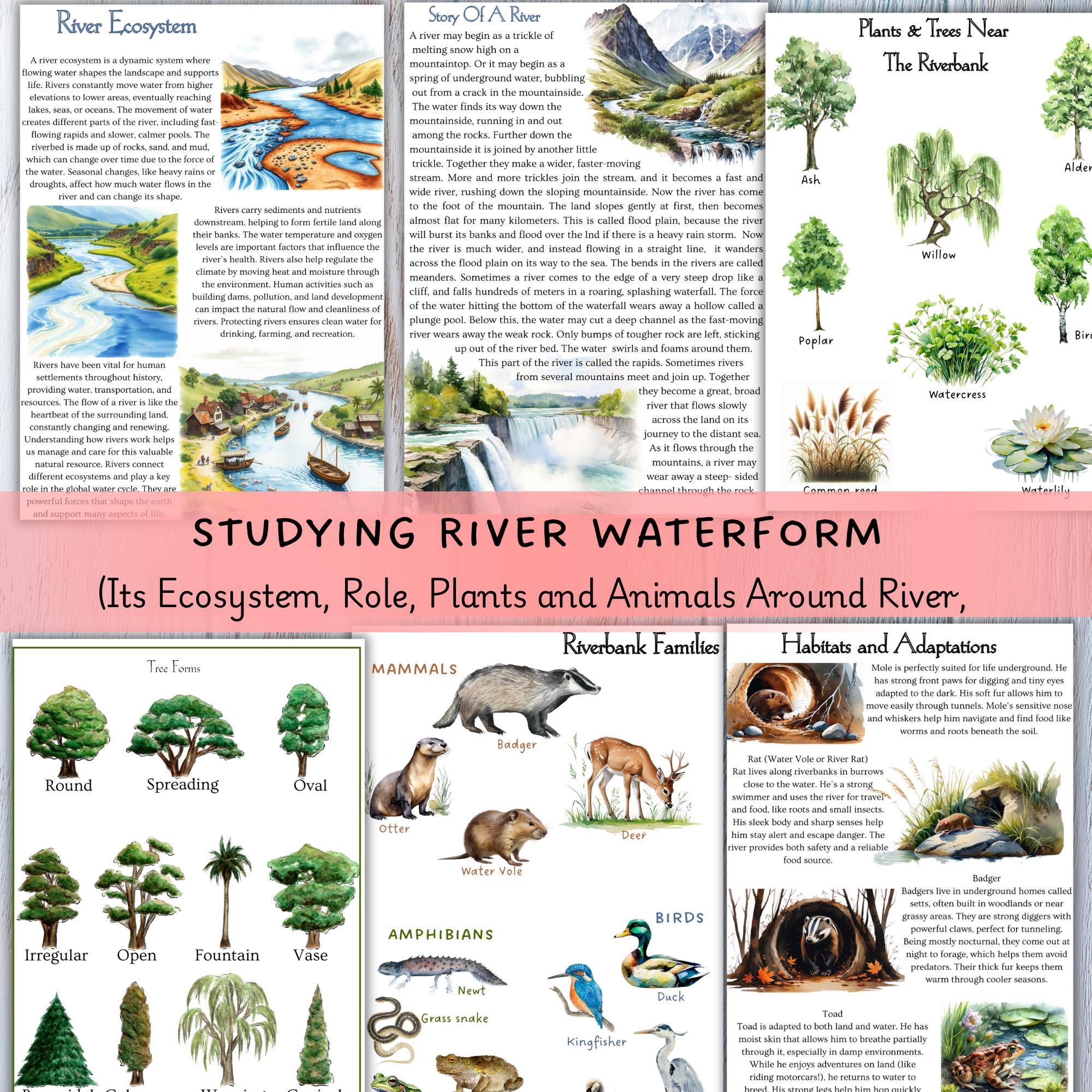 Wind in the Willows Novel Companion, Literature Study, Wind in the ...