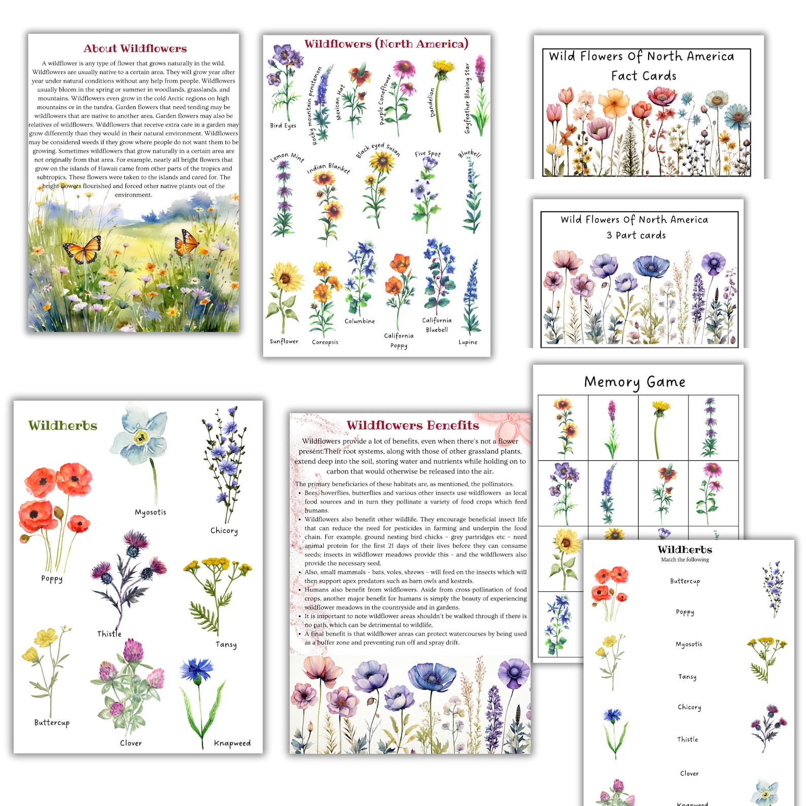 Wildflowers Unit Study, Pollinators Unit Study, Flower Anatomy, Nature ...