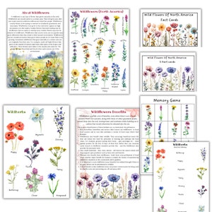 Wildflowers Unit Study, Pollinators Unit Study, Flower Anatomy, Nature ...