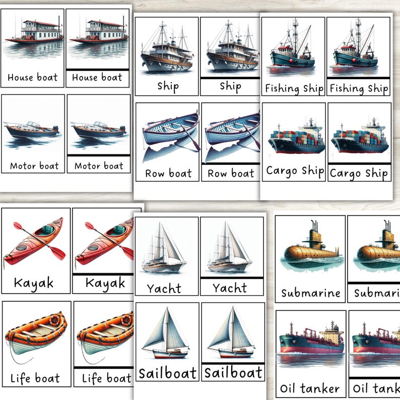 Water Transport Printable, Water Transport Worksheets, Water Transport ...