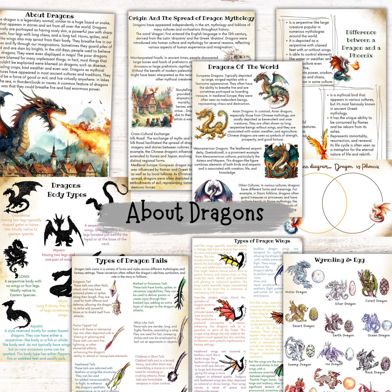 Dragons Unit Study, Mythology Unit Study, Dragon Anatomy, Dragon Life ...