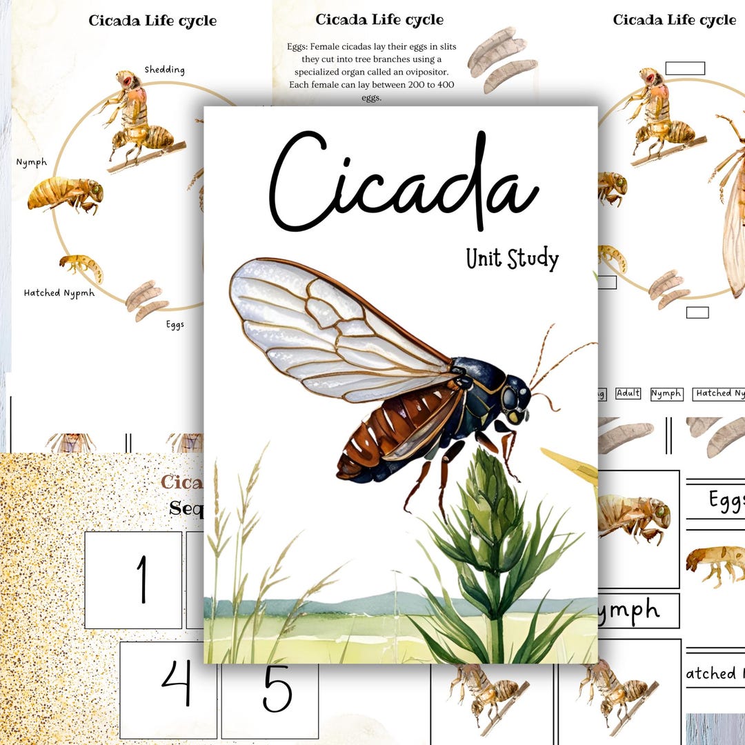 Cicada Unit Study, Nature Unit Study, Homeschool Nature, Cicada Anatomy ...