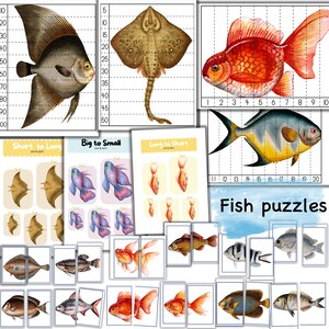 Fish Unit Study, Fish Printable Puzzle, Fish Activities, Shark Unit ...