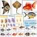 Fish Unit Study, Fish Printable Puzzle, Fish Activities, Shark Unit ...