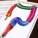 Human Large Intestines Anatomy Printable Activity, Large Intestines ...