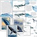Mammals Unit Study, Elephant Unit Study, Bat Unit Study, Whale Unit ...
