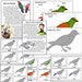 Birds Unit Study, Bird Anatomy, Bird Montessori 3 Part Cards, Owl Unit ...