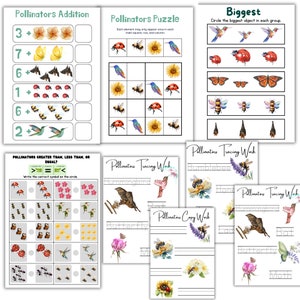 Wildflowers Unit Study, Pollinators Unit Study, Flower Anatomy, Nature ...