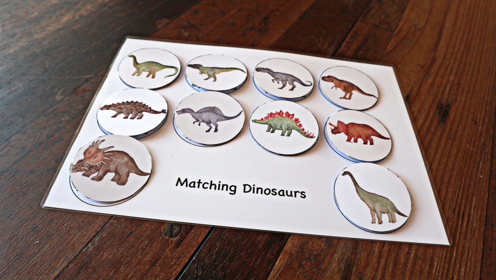 Dinosaurs Matching Printable, Dinosaurs Unit Study, Names of Dinosaurs ...