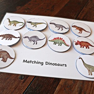 Dinosaurs Matching Printable, Dinosaurs Unit Study, Names of Dinosaurs ...