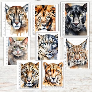 Cat Unit Study, Cat Anatomy, Tiger Anatomy, Big Cats Unit, Cat Homeschool, Nature Study, Cat ...