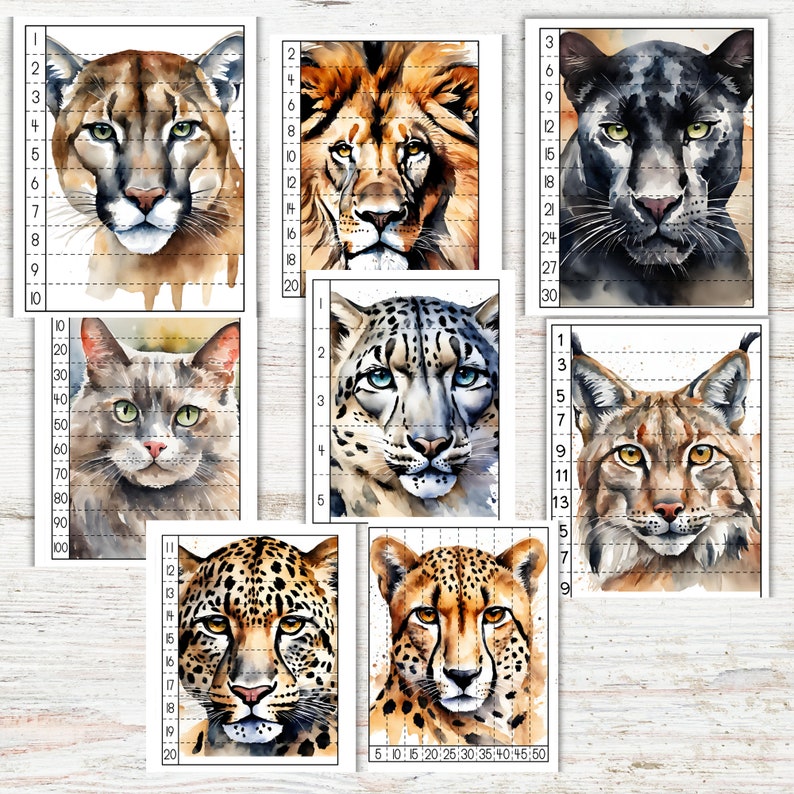 Cat Unit Study, Cat Anatomy, Tiger Anatomy, Big Cats Unit, Cat Homeschool, Nature Study, Cat ...