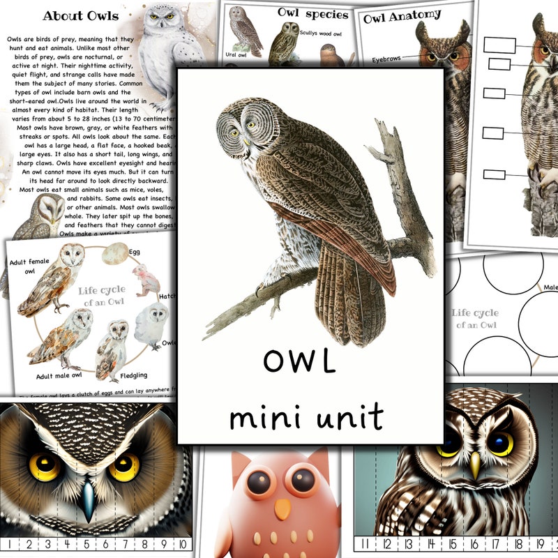 Printable Owl Unit - Etsy UK