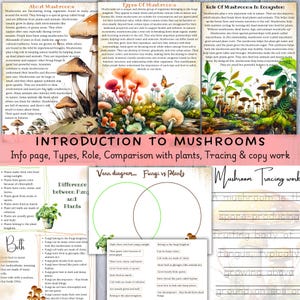 MUSHROOMS UNIT STUDY, Fungi Unit Study, Mushroom Printable, Autumn ...