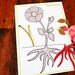 Parts of a Plant, Anatomy of a Plant, 3 Part Cards of Plant, Plant ...