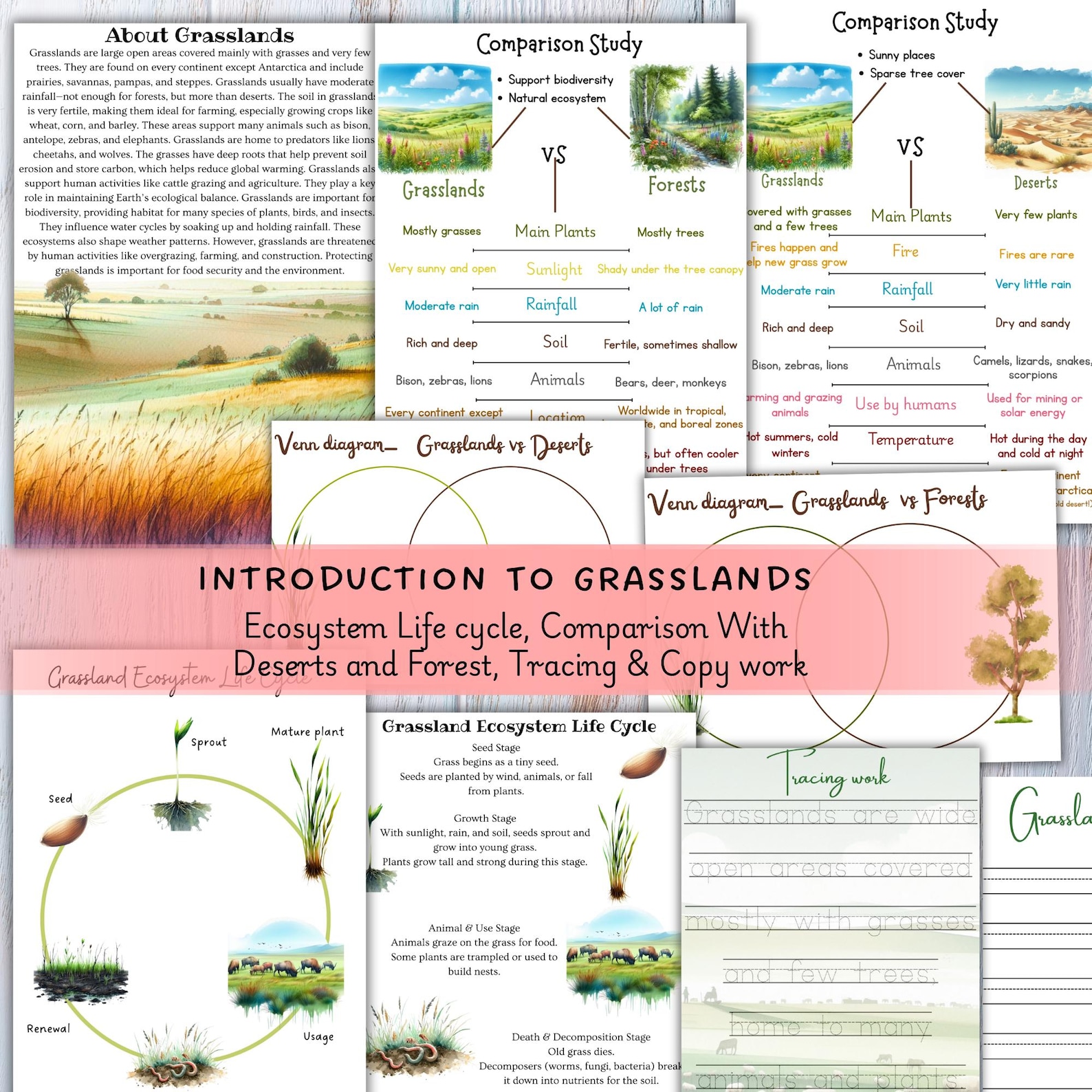 Grasslands Unit Study, Biome Unit Study, Wheat Unit Study, Grass Life ...