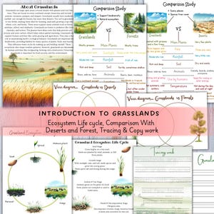Grasslands Unit Study, Biome Unit Study, Wheat Unit Study, Grass Life ...