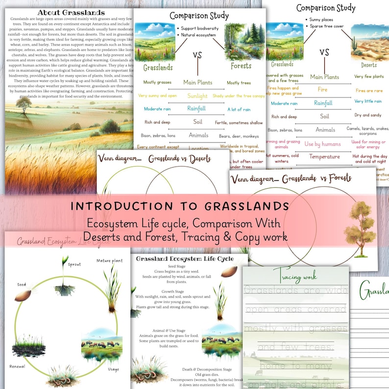 Grasslands Unit Study, Biome Unit Study, Wheat Unit Study, Grass Life ...
