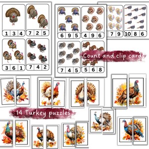 Turkey Unit Study, Thanksgiving Activity, Turkey Anatomy, Turkey Life ...