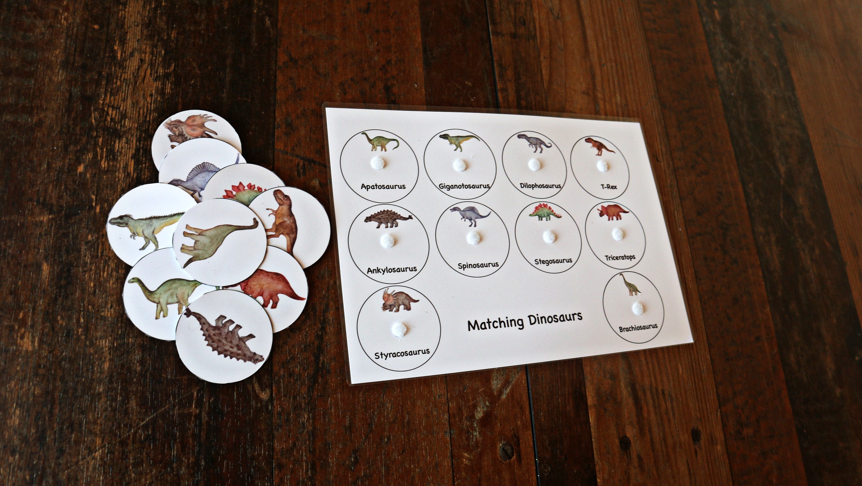 Dinosaurs Matching Printable, Dinosaurs Unit Study, Names of Dinosaurs ...