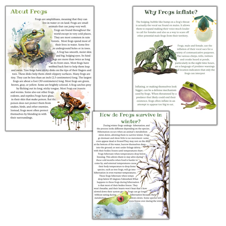 Frog Unit Study, Frog 3 Part Cards, Frog Printable Puzzle, Amphibian ...