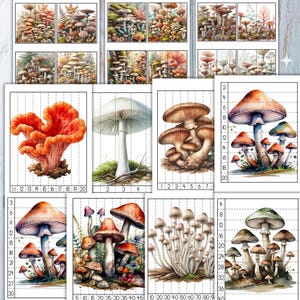 MUSHROOMS UNIT STUDY, Fungi Unit Study, Mushroom Printable, Autumn ...