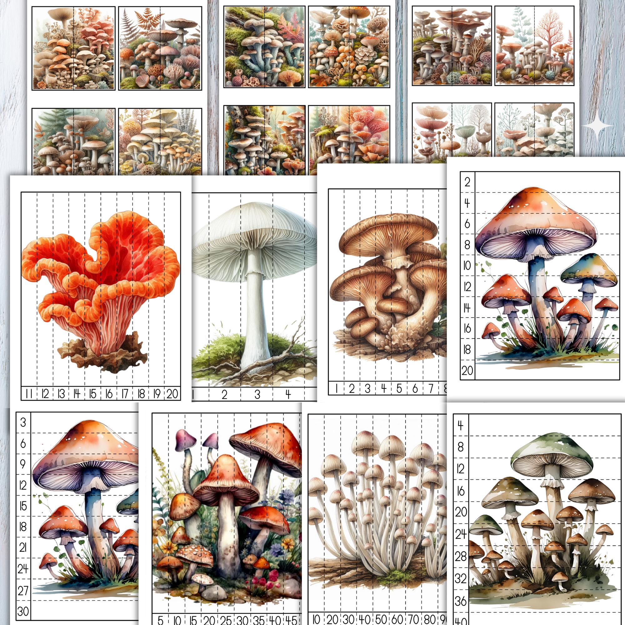 MUSHROOMS UNIT STUDY, Fungi Unit Study, Mushroom Printable, Autumn ...