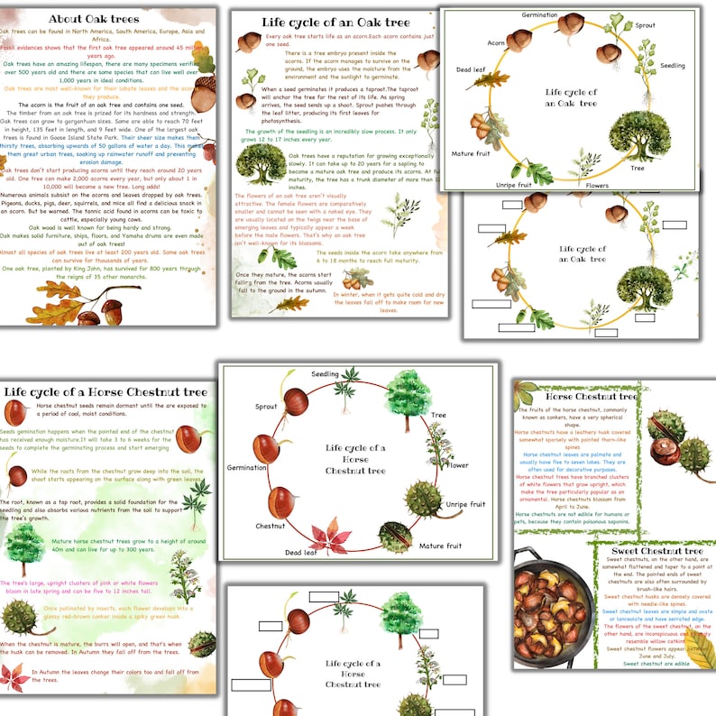 Fall Unit Study, Mushroom Unit Study, Corn Unit Study, Fox Unit Study ...