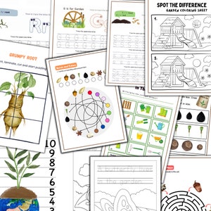 Garden Unit Study, Roots Anatomy, Seed Anatomy, Soil Layers, Roots ...