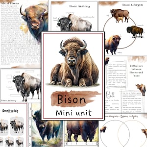 Bison Mini Unit Study, Bison Anatomy, Hoemschool Nature Study, North ...